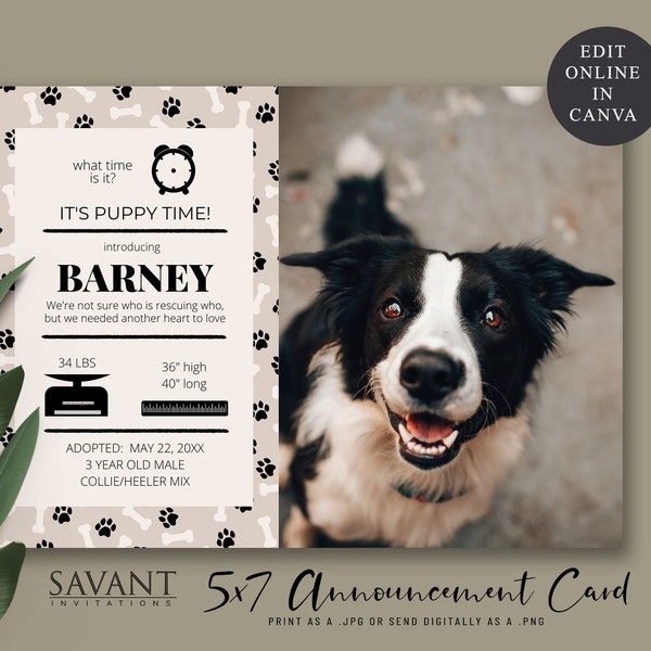 Puppy Announcement - Etsy