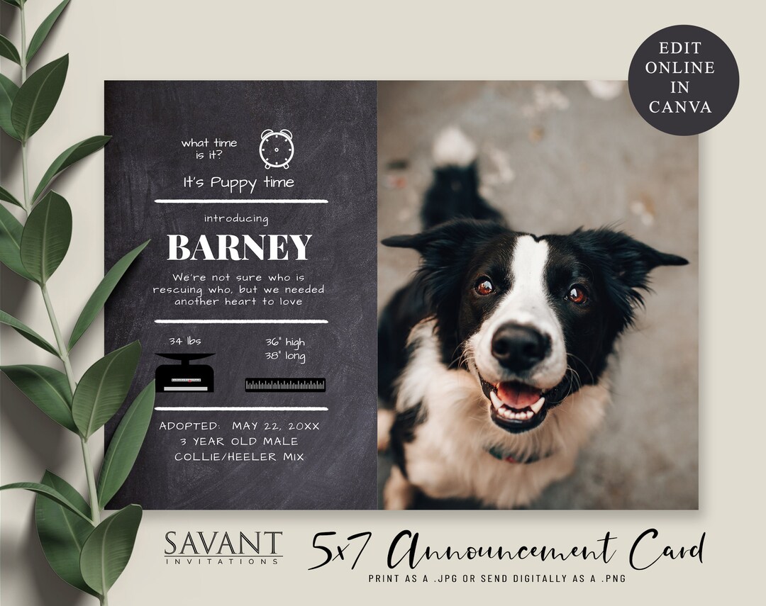 Editable Pet Chalkboardtemplate, We've Adopted Announcement Card, Puppy ...