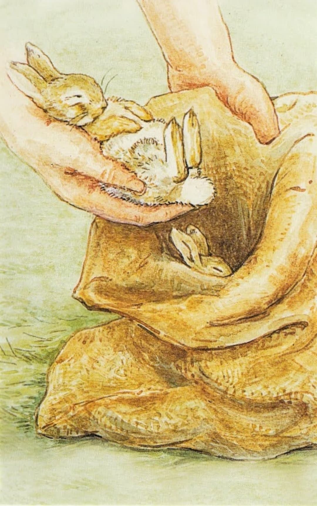 Tale of the Flopsy Bunnies Beatrix Potter Nostalgic Postcard Peter ...