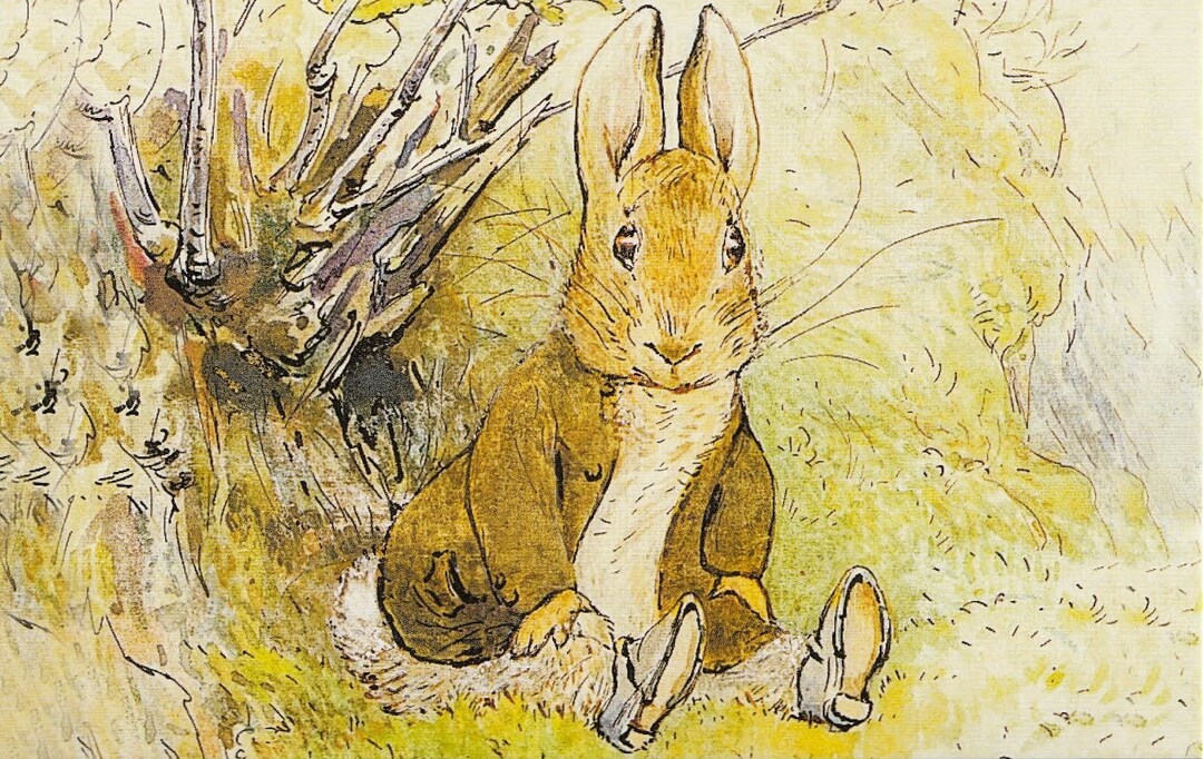 One Morning a Little Rabbit Sat on the Peter Rabbit Beatrix - Etsy