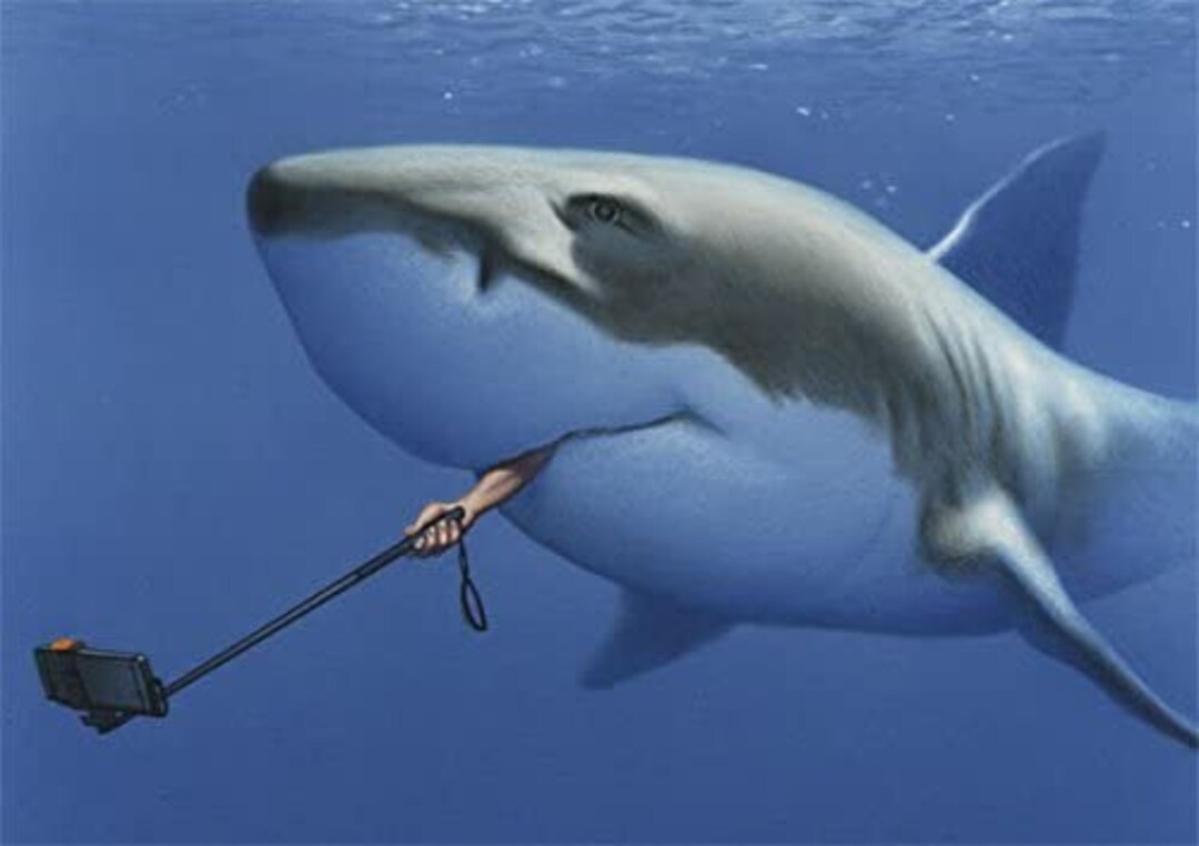 Spectacular Postcard Artist Art Gerhard Haderer Illustration Shark Fish ...