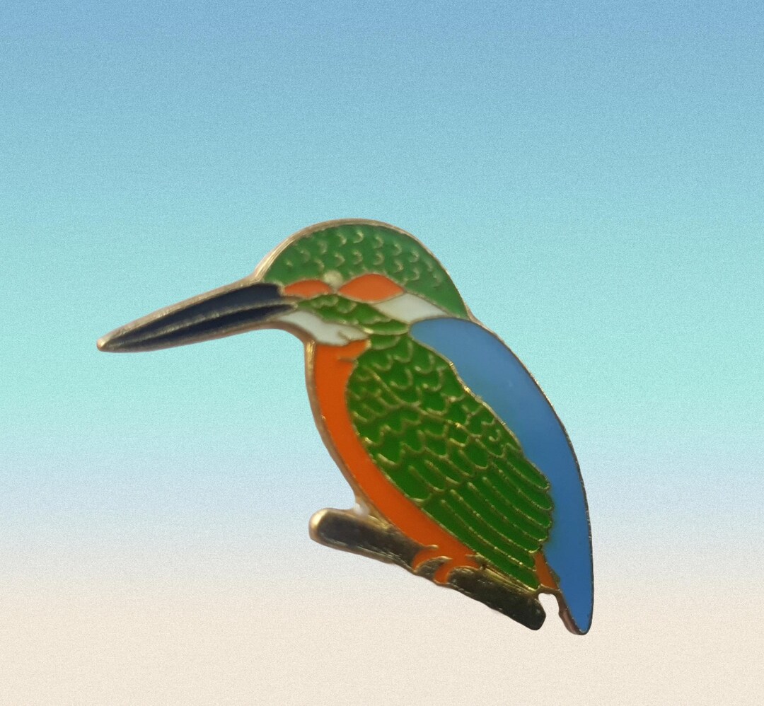 Kingfisher Bird Pin Birdwatching Birding Wildlife Observation Birder ...