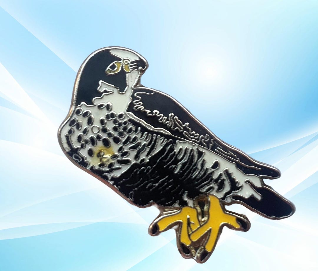 Peregrine Bird Pin Birdwatching Birding Wildlife Observation Birder ...