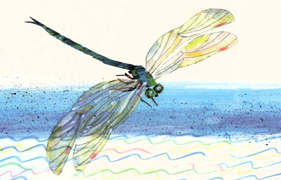 Dragonfly Artist Eric Carle From the Very Quiet Cricket Happy ...