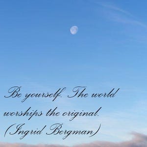 Mother Moo Fishing Postcard by Artist Sven Nordqvist and Jujja ...