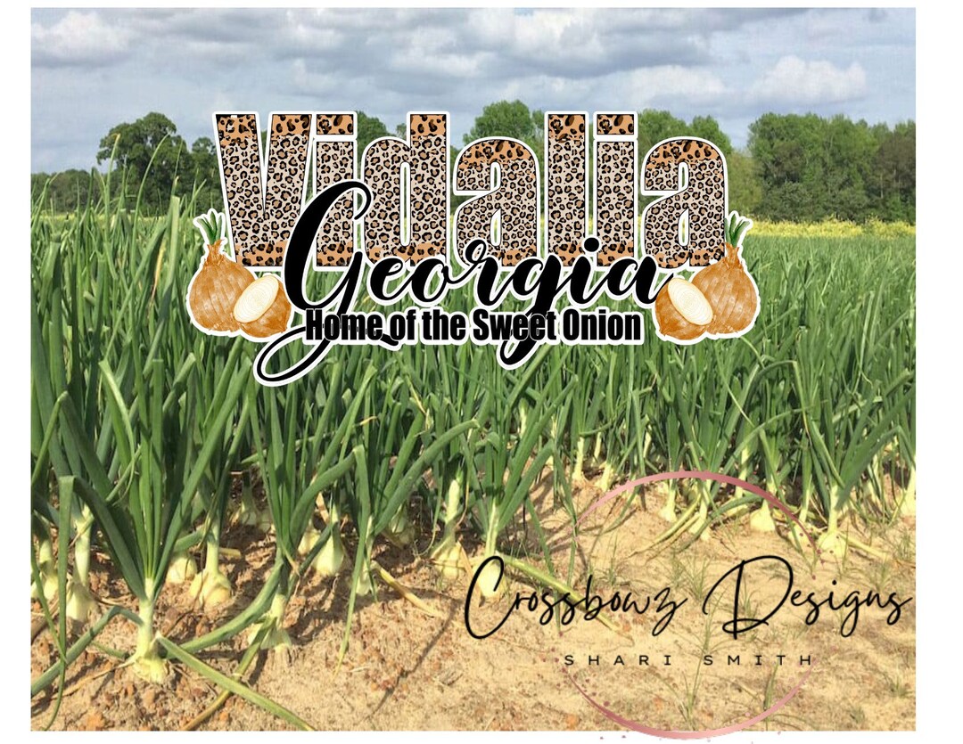 Vidalia, Toombs County, Onions, Sweet Onions, Georgia, Festival, Onion ...