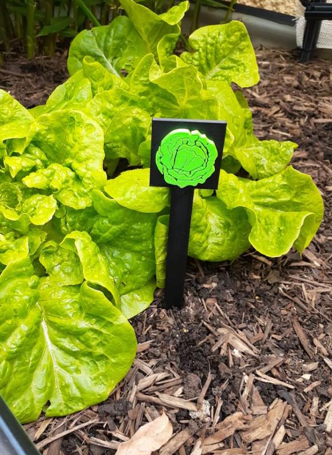 3D Printed Lettuce Sign - Etsy