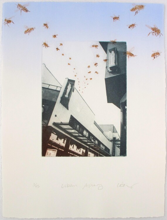 Exeter Portfolio. Lynn Bailey Urban Bees in Princesshay. | Etsy
