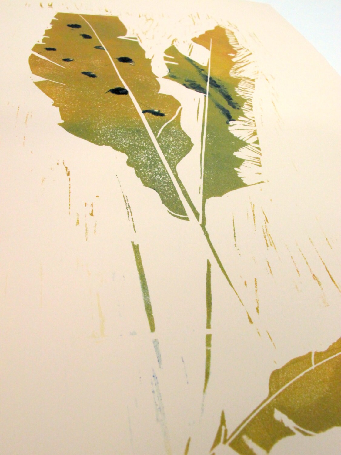 Experimental Lino Cut of Feathers by Robert Davies. Feathers II - Etsy