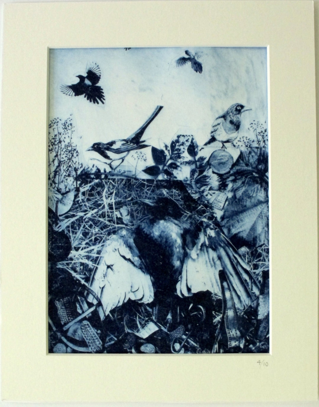 Magpies and Treasure. Bird Print in Blue. Photo Etching Limited Edition ...