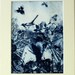 Magpies and Treasure. Bird Print in Blue. Photo Etching Limited Edition ...
