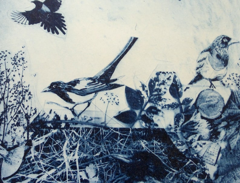 Magpies and Treasure. Bird Print in Blue. Photo Etching Limited Edition ...