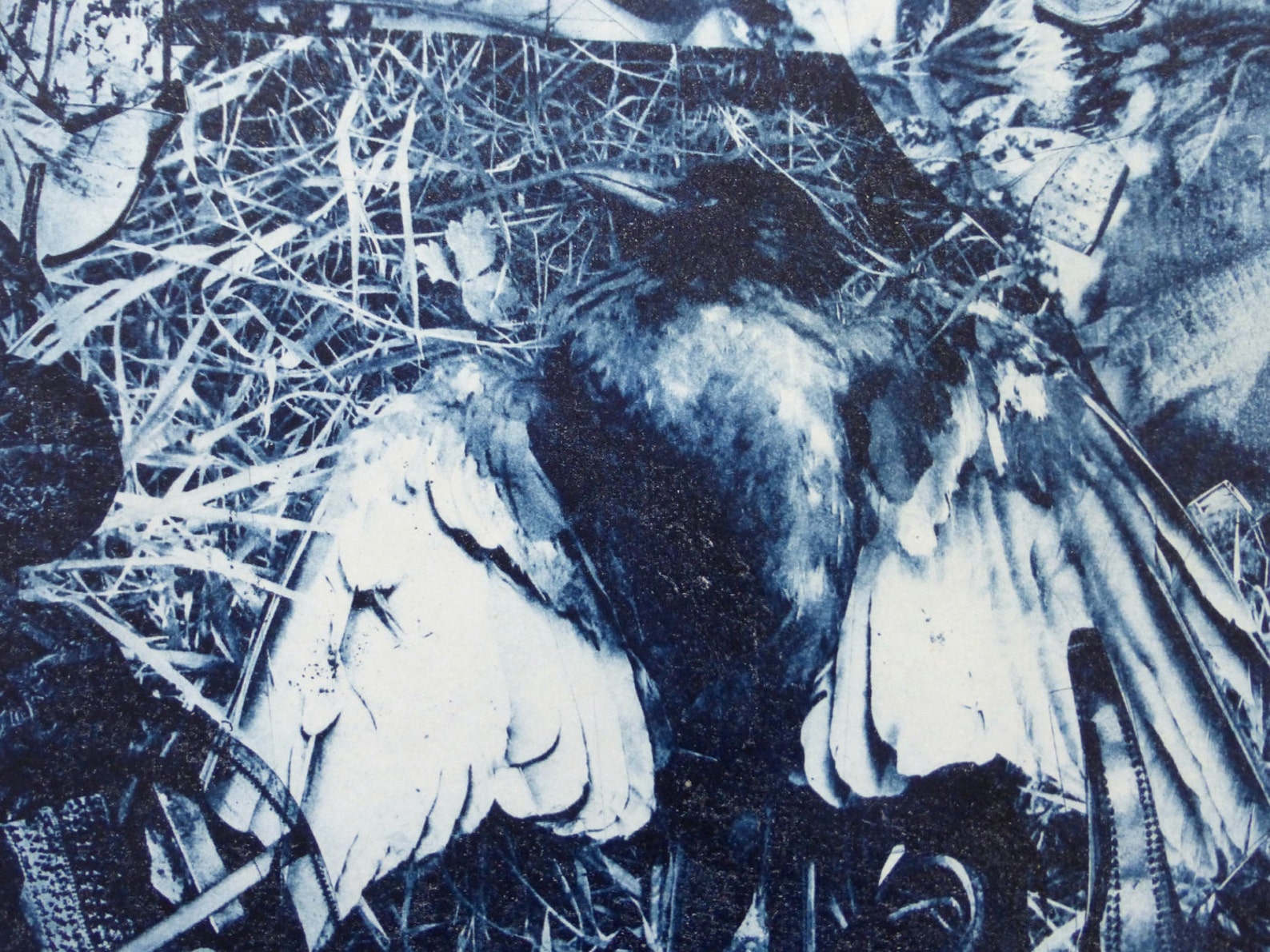 Magpies and Treasure. Bird Print in Blue. Photo Etching Limited Edition ...