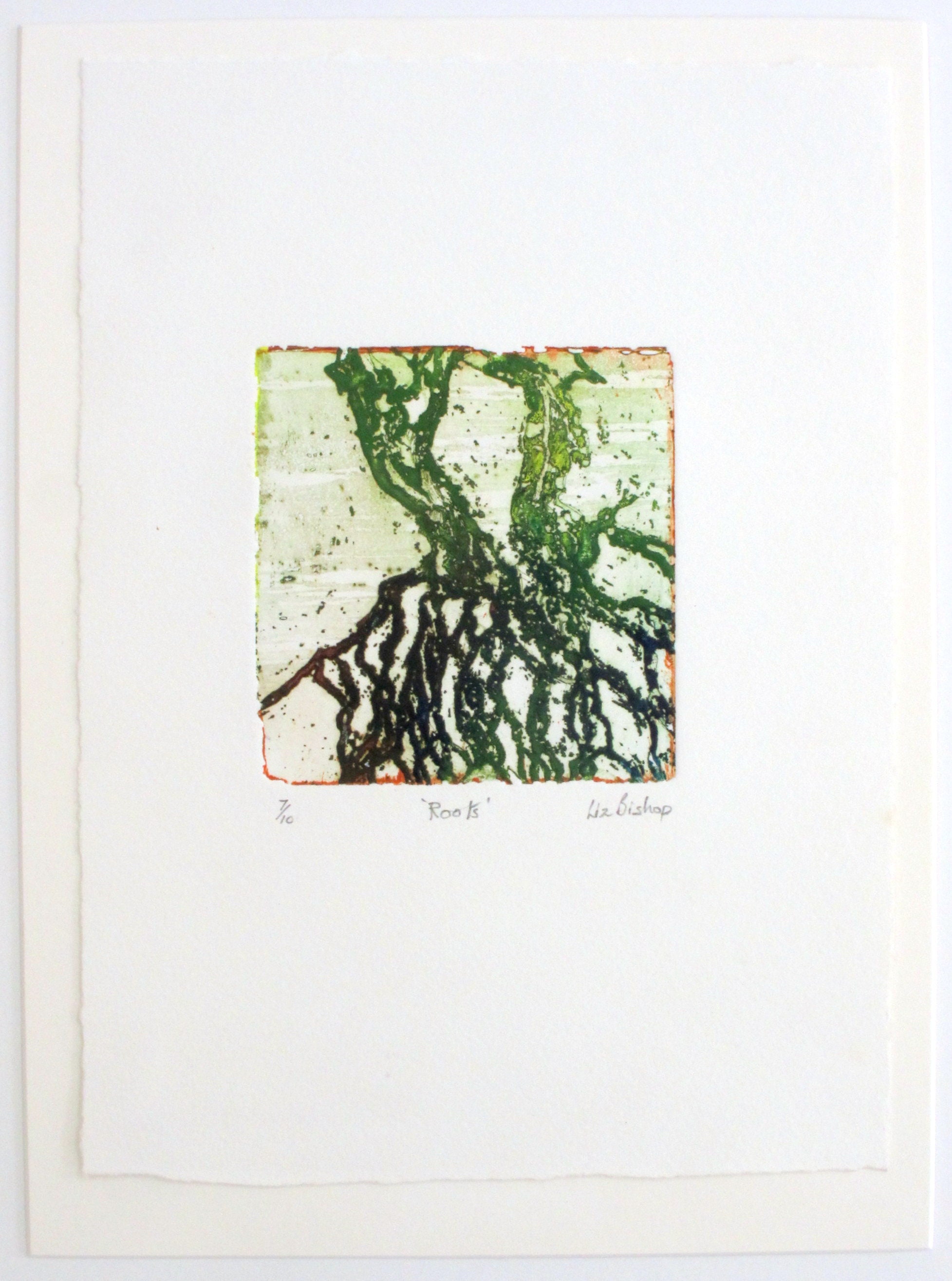 Etching of plant roots by Liz Bishop. Semi abstract | Etsy