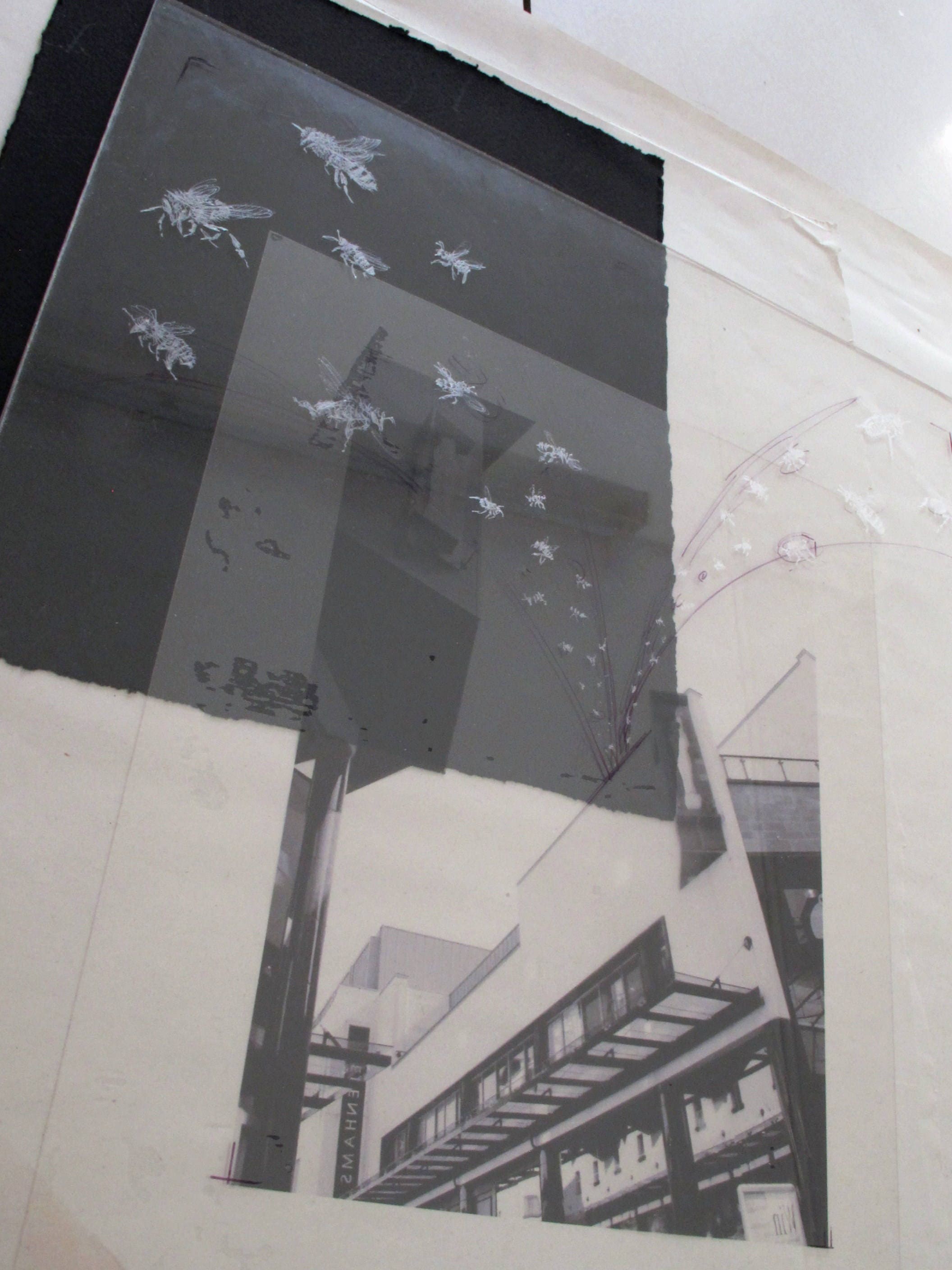 Exeter Portfolio. Lynn Bailey Urban Bees in Princesshay. Drypoint and ...