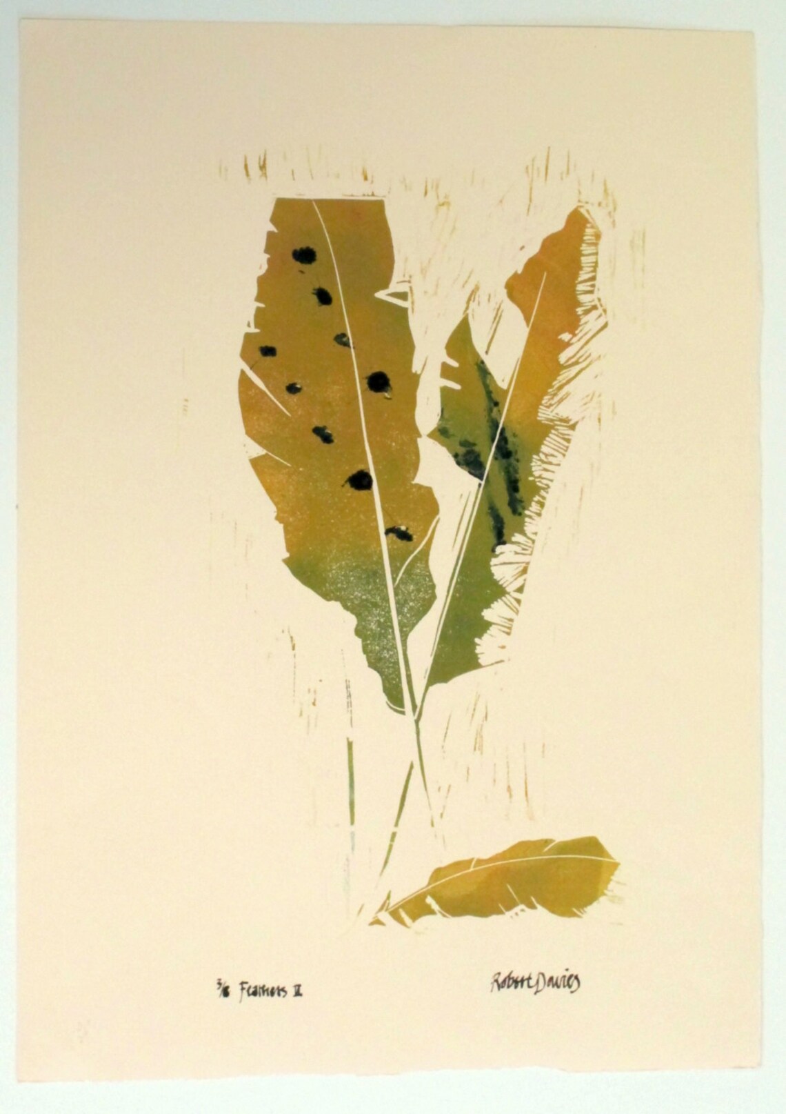 Experimental Lino Cut of Feathers by Robert Davies. Feathers II - Etsy