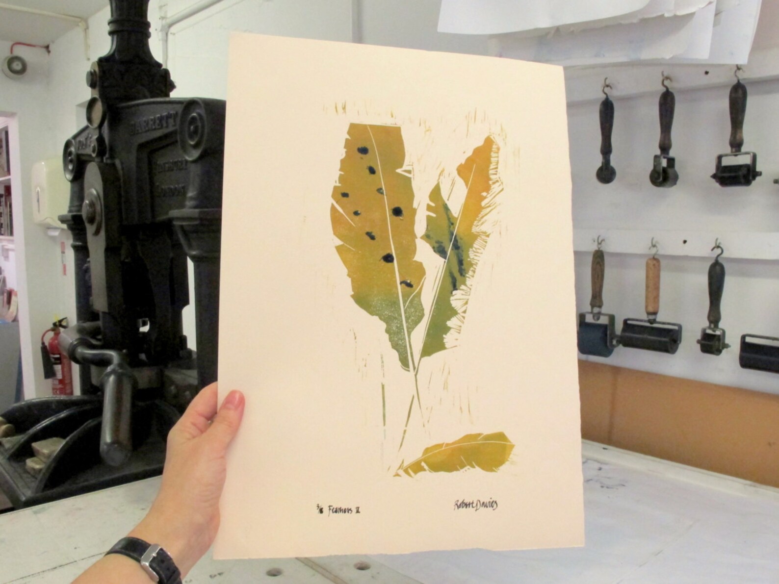 Experimental Lino Cut of Feathers by Robert Davies. Feathers II - Etsy