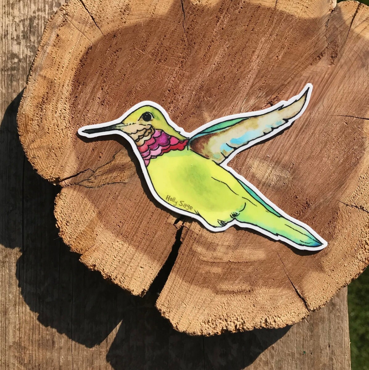 Hummingbird Vinyl Stickers Vinyl Stickers Waterproof - Etsy