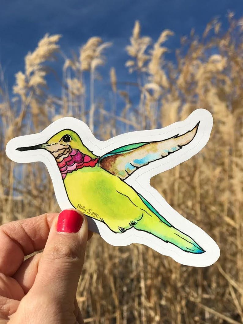 Hummingbird Vinyl Stickers Vinyl Stickers Waterproof | Etsy
