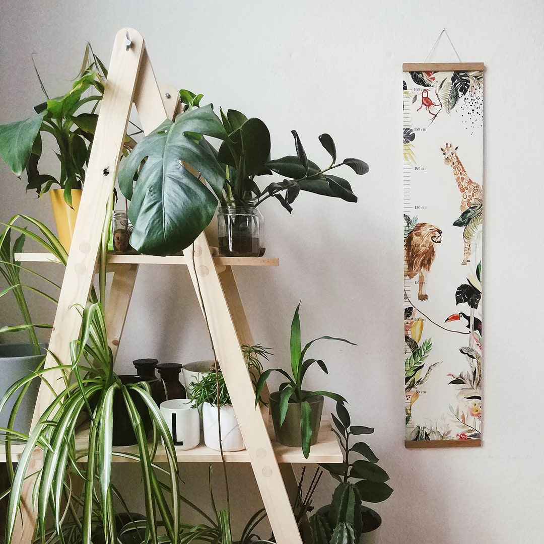 Measuring Poster for Children jungle - Etsy