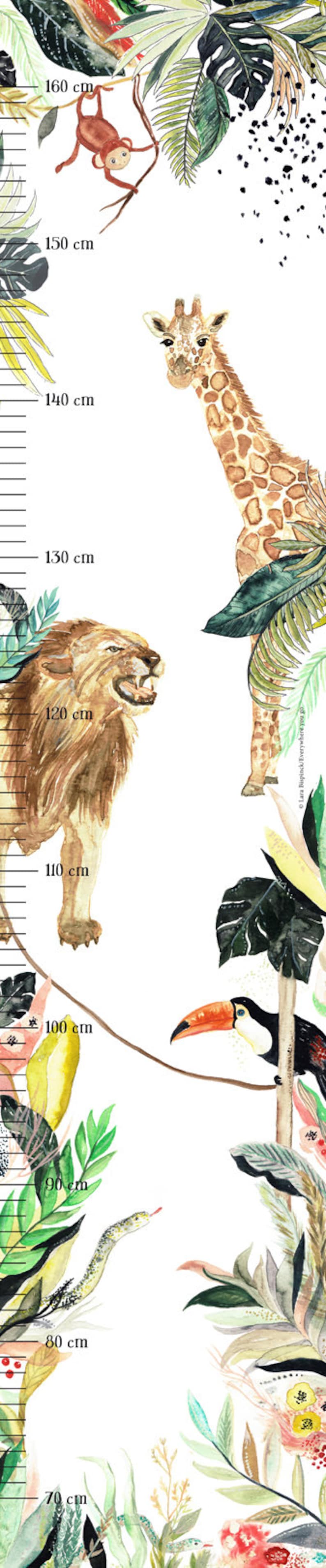 Measuring Poster for Children jungle - Etsy
