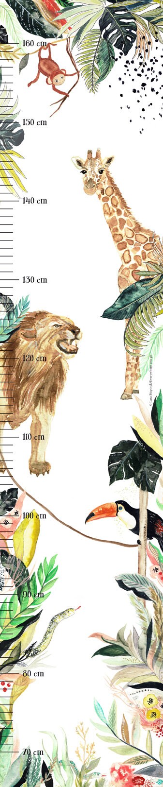 Measuring Poster for Children jungle - Etsy