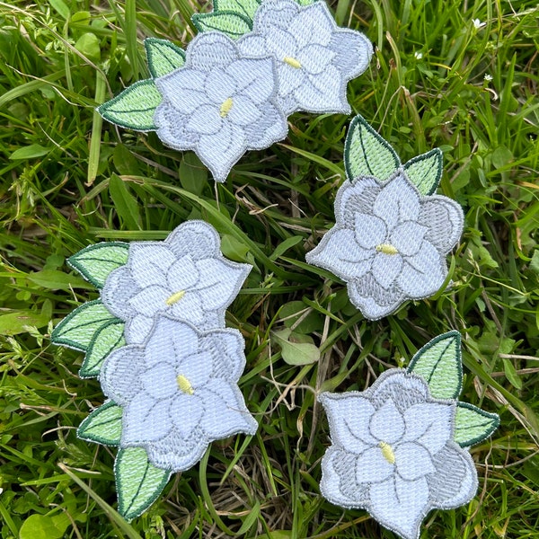 Magnolia State - Etsy