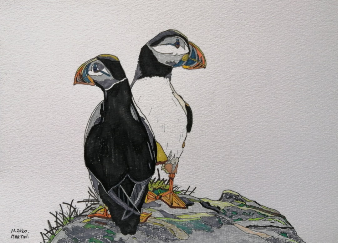 Puffins Drawing / Puffins Painting A4 Size Hand-drawn - Etsy