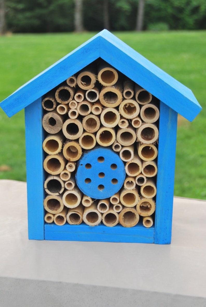 Solitary Bee Houses Cedar or Bamboo/pine - Etsy