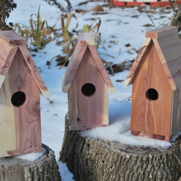 Handmade Bird House - Etsy