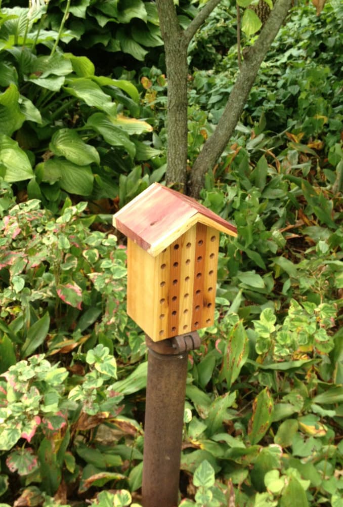 Solitary Bee Houses - Cedar or Bamboo/pine - Etsy