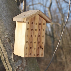 Solitary Bee Houses - Cedar or Bamboo/pine - Etsy