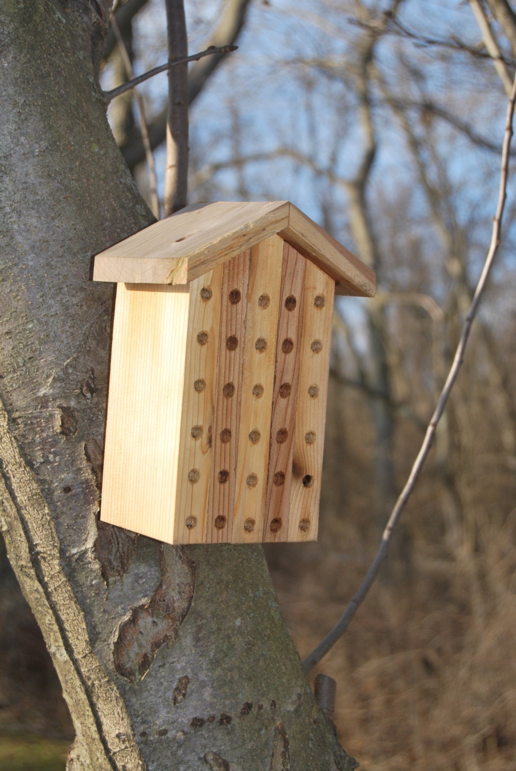 Solitary Bee Houses - Cedar or Bamboo/pine - Etsy