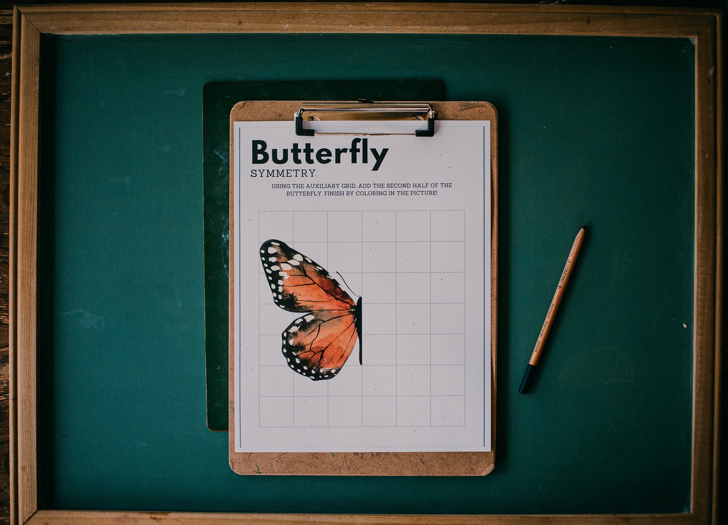 Life Cycle Unit Study - Digital Download - Etsy