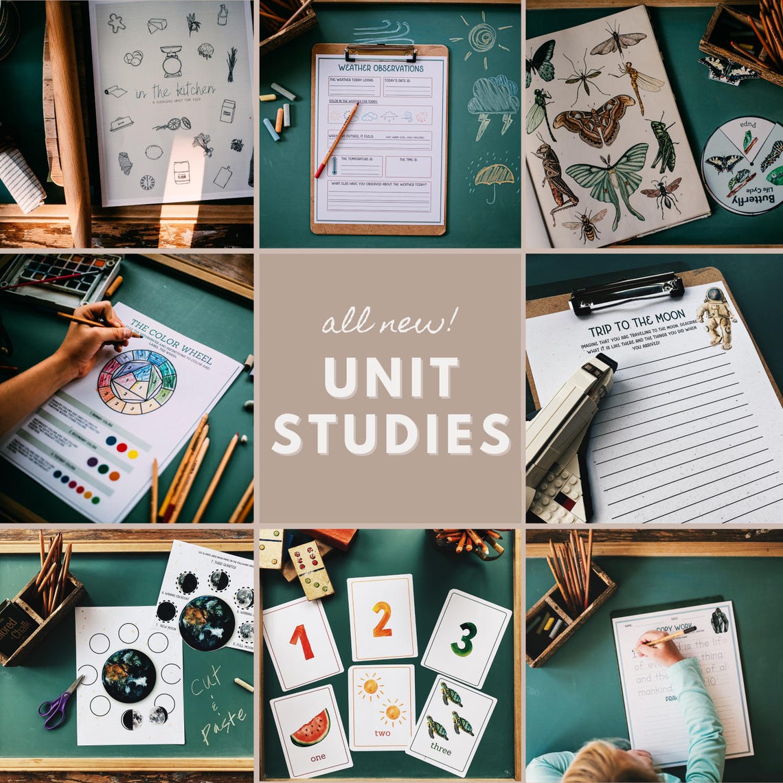 Unit Studies MEGA BUNDLE!! - Etsy