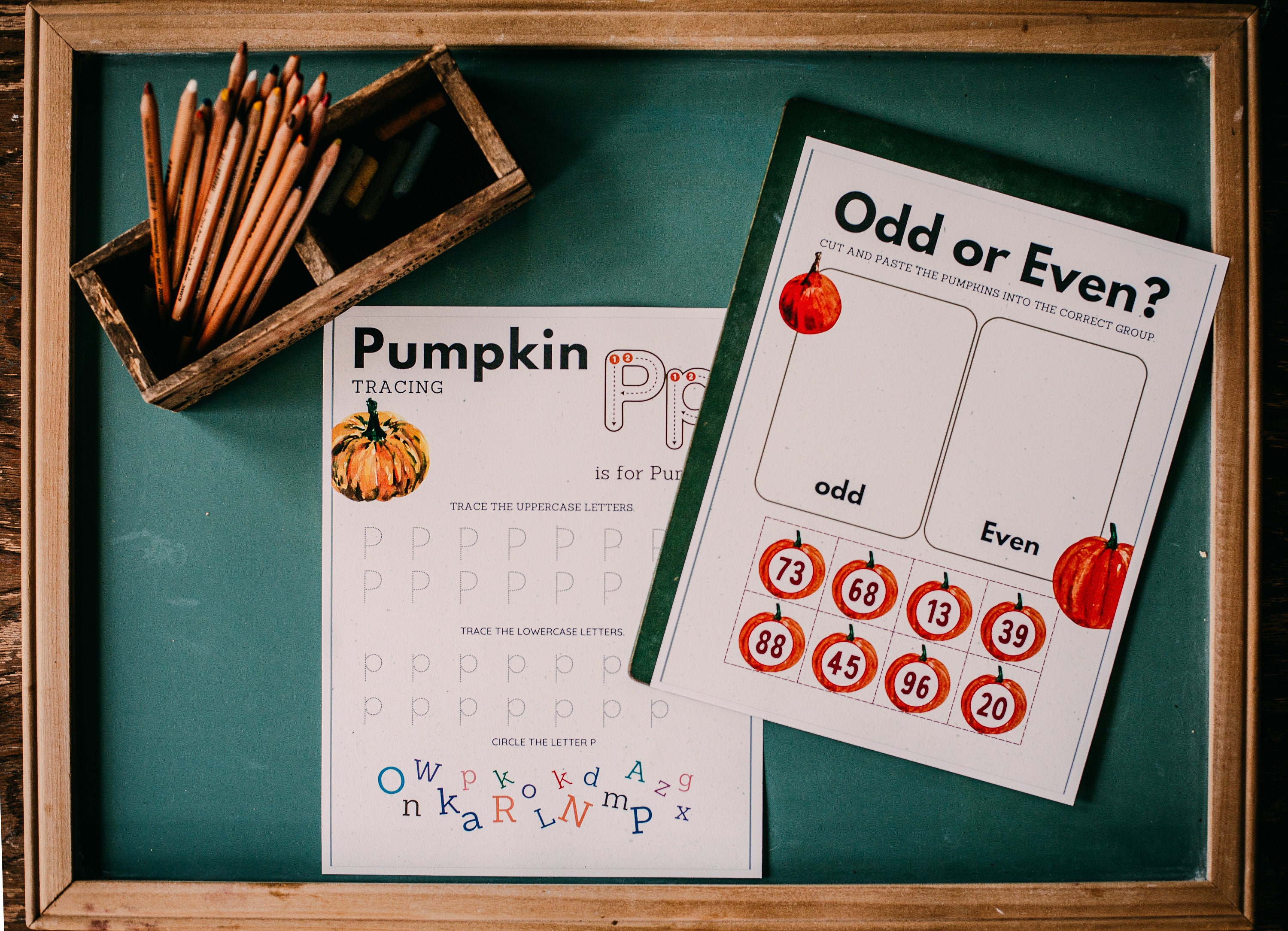 Life Cycle Unit Study Digital Download - Etsy