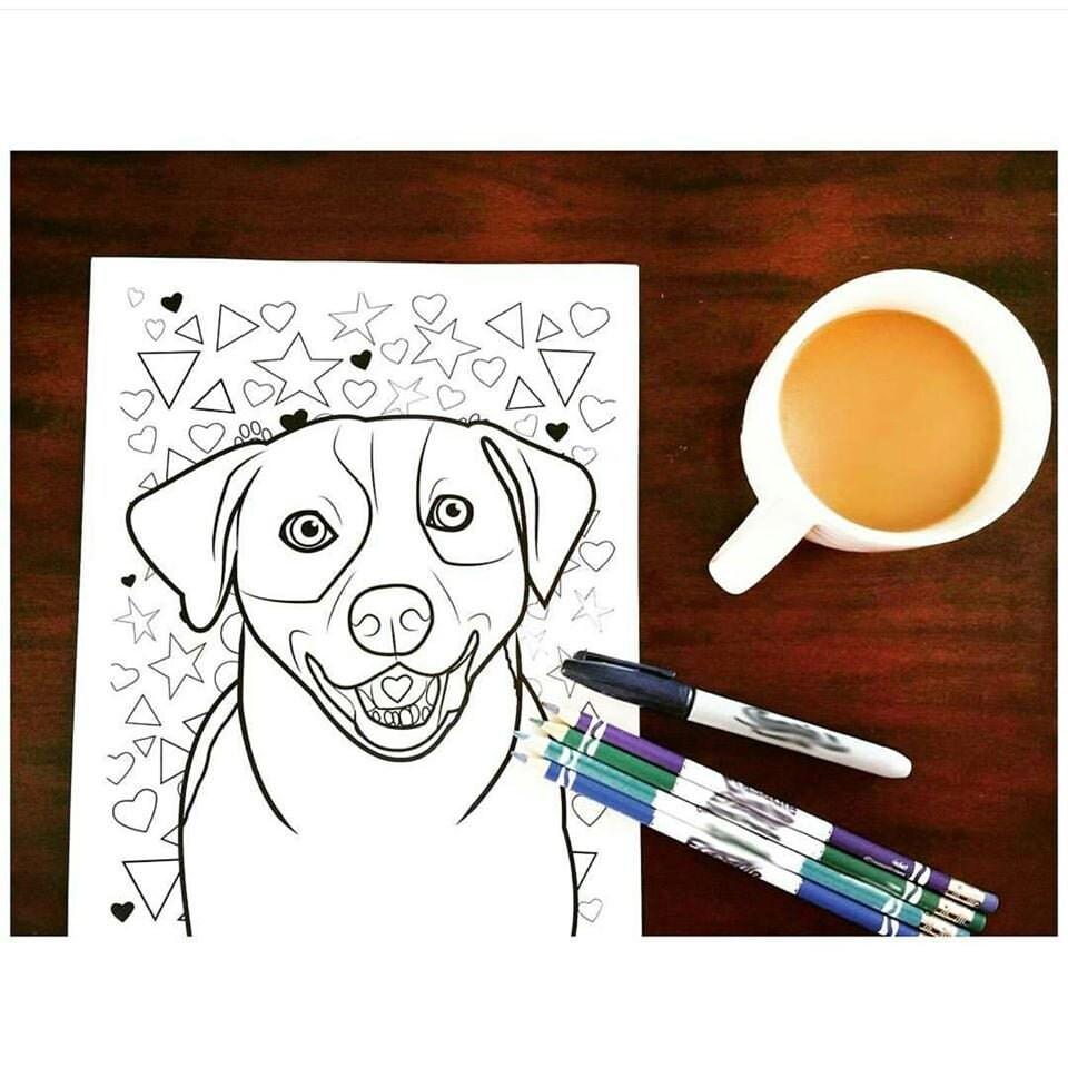 Golden Doodle Coloring Page - Dog Coloring Page - Doodle - Etsy
