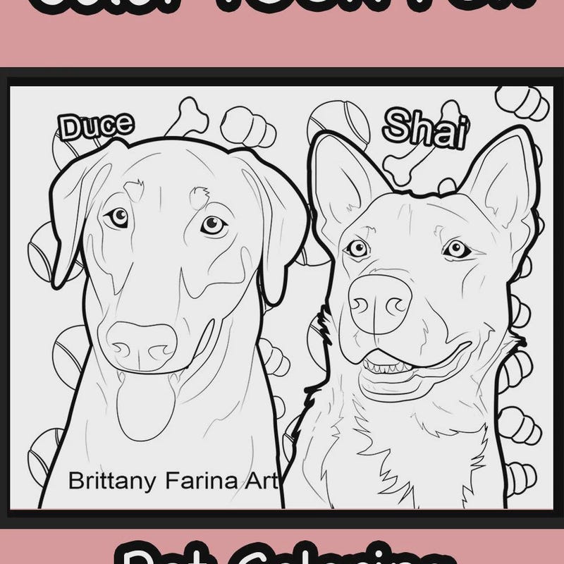 Pet Photo Book Download - Etsy