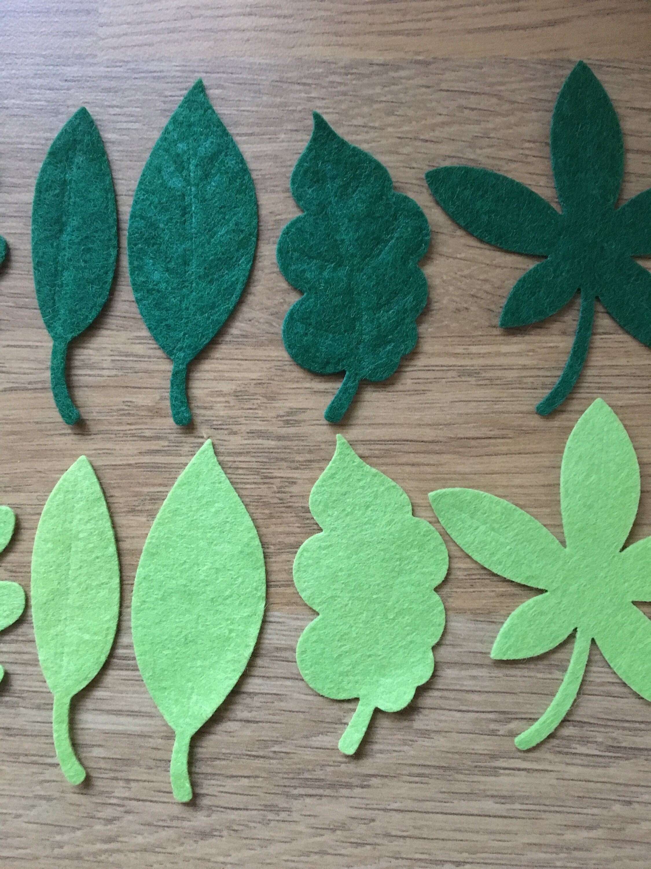 Mixed Felt Leaves Die Cut Felt Leaves Felt Shapes Felt Leaf - Etsy UK