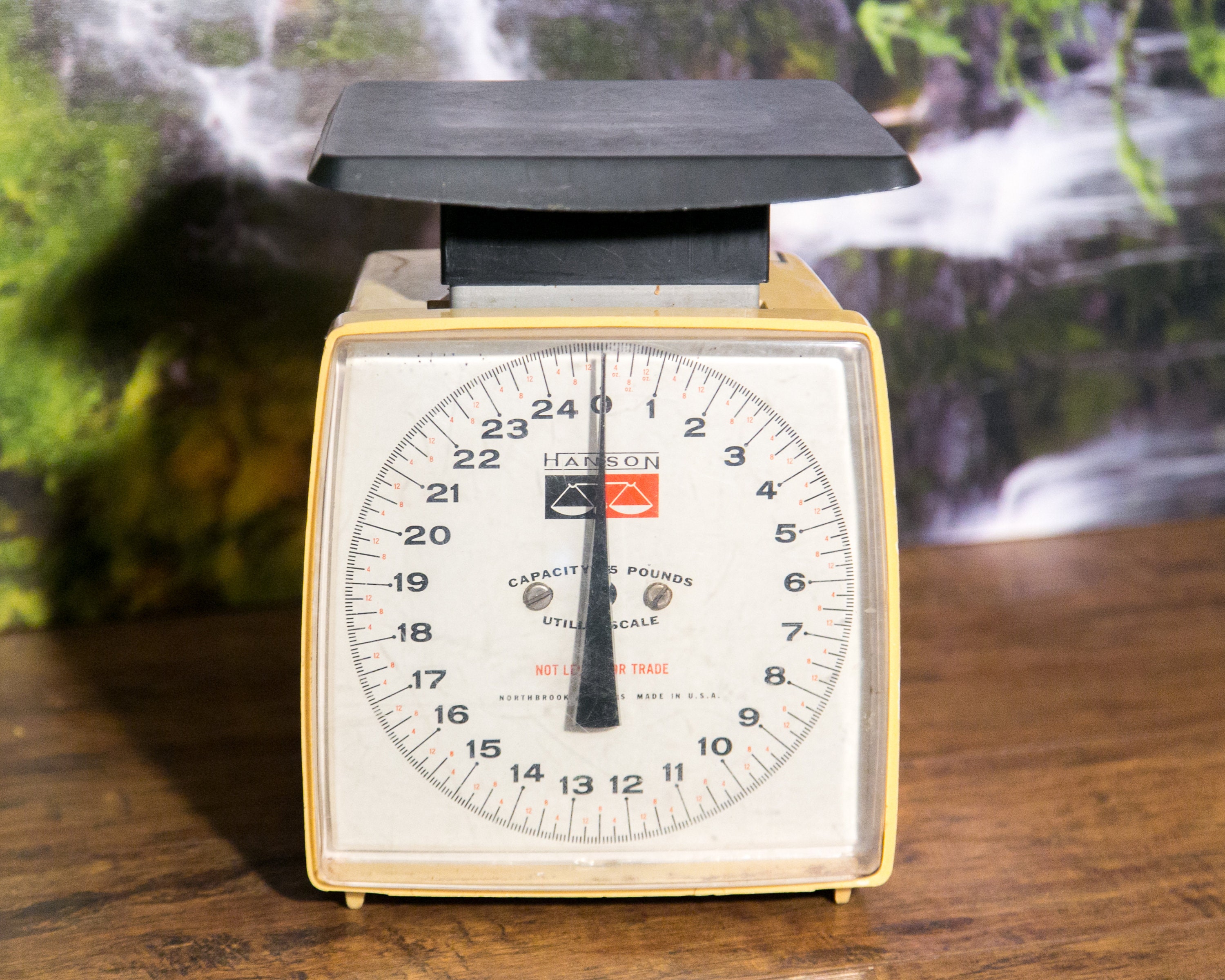 Vintage Yellow Hanson 25lb Utility Scale Accurate Plastic | Etsy