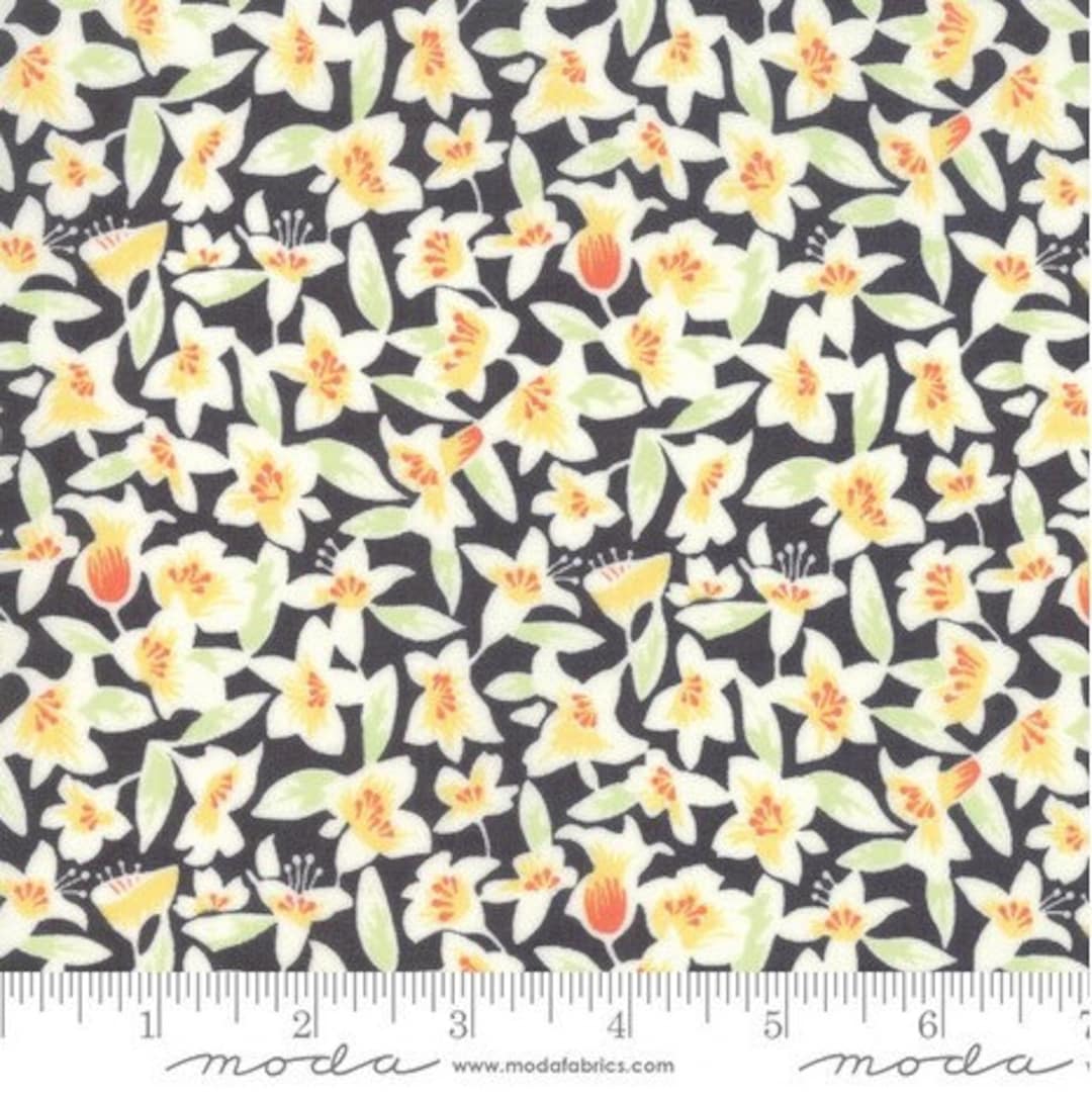 Moda Jen Kingwell Fine and Sunny Charcoal - 18171-18 - Etsy