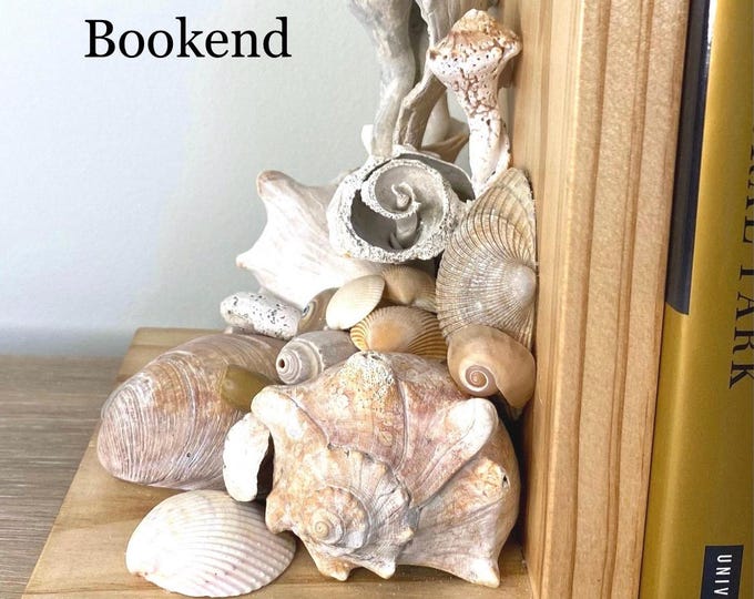 Seashell Bookend. One-of-a-kind, Hand-crafted Bookend on Wooden Base ...