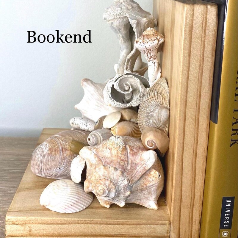 Shell Bookends - Etsy