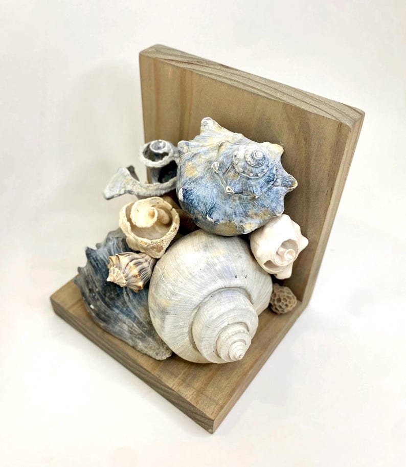 Seashell Bookend. One-of-a-kind, Hand-crafted Bookend on Wooden Base ...