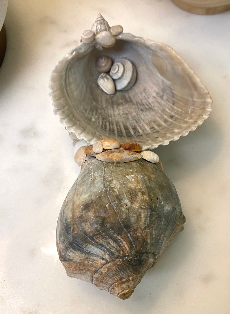 Seashell Trinket/jewelry Dish or Decor. One-of-a-kind Home Decor Item ...