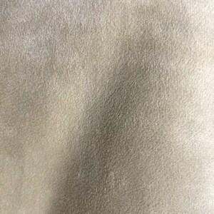 Velvet High Performance for Upholstery Multiple Colors 54" Sold by the ...