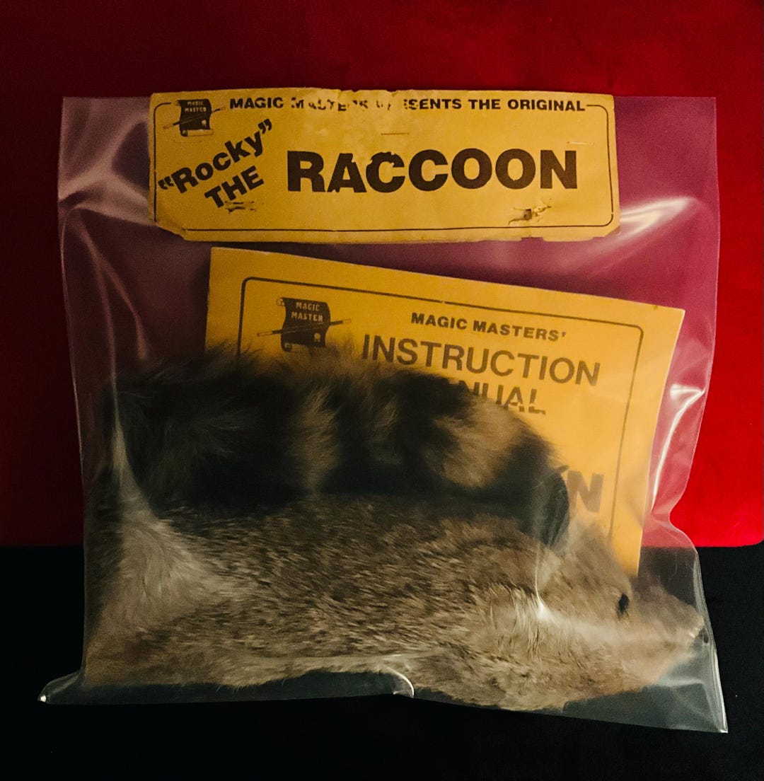 The Original Rocky the Raccoon by Magic Masters 1984 Robbie Raccoon ...