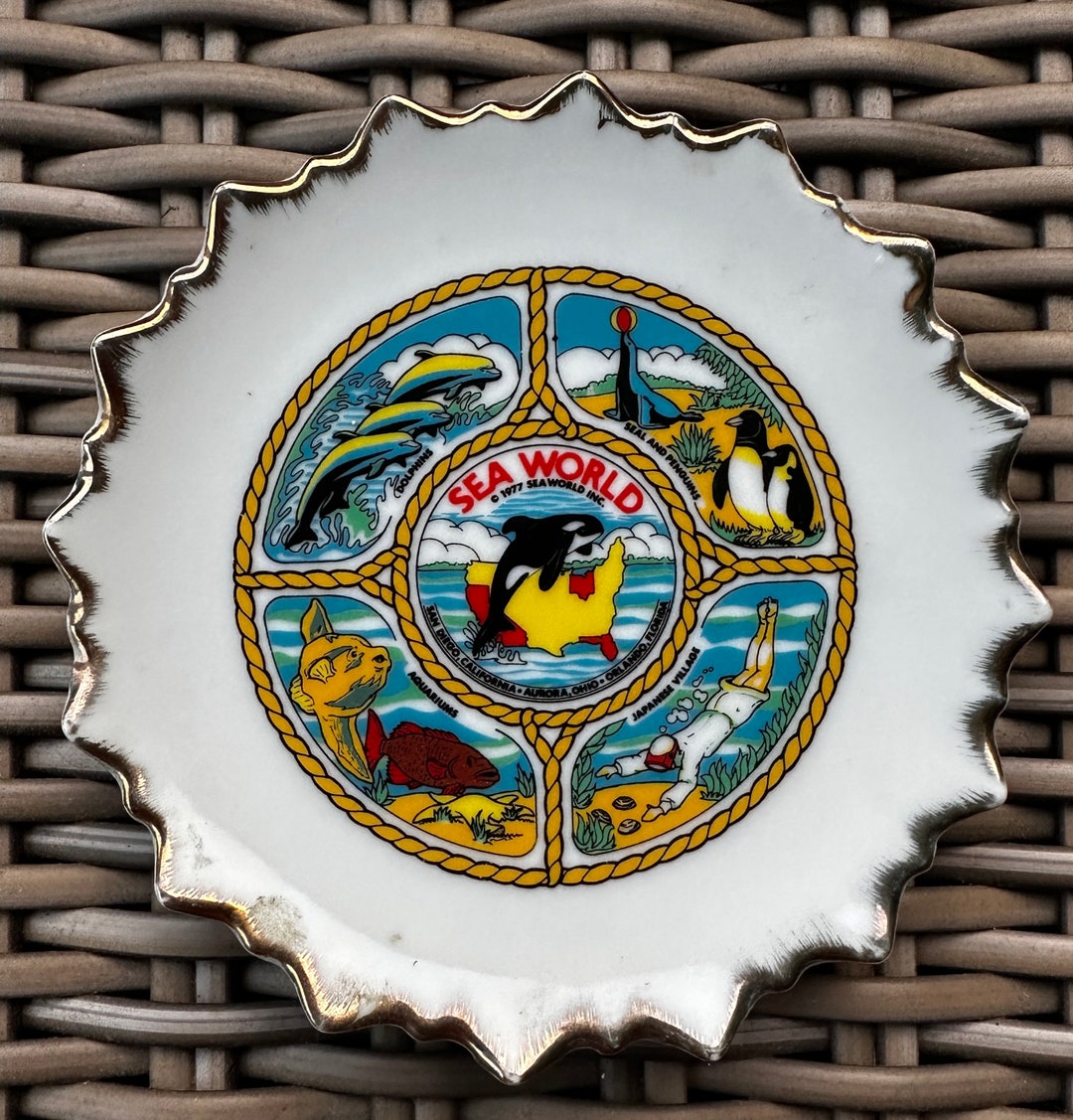 Small, Colorful Sea World Collectible Plate - Etsy