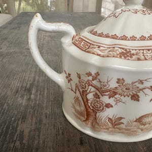 Sugar Bowl W/ Lid, Quail by Furnival Made in England - Etsy