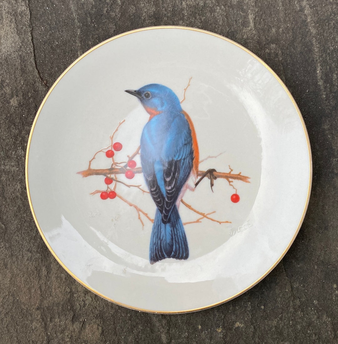 National Wildlife Federation - Eastern Blue Bird Plate - Etsy